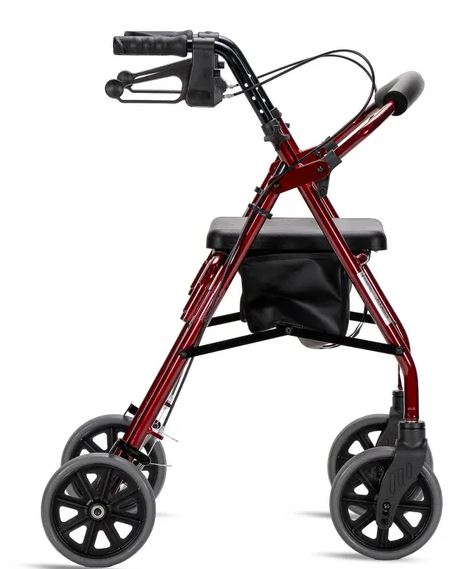 Ellipse 8" Walker - Whitecross
